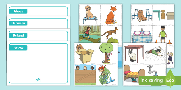 Positional Picture Sort - Foundation Maths (teacher made)