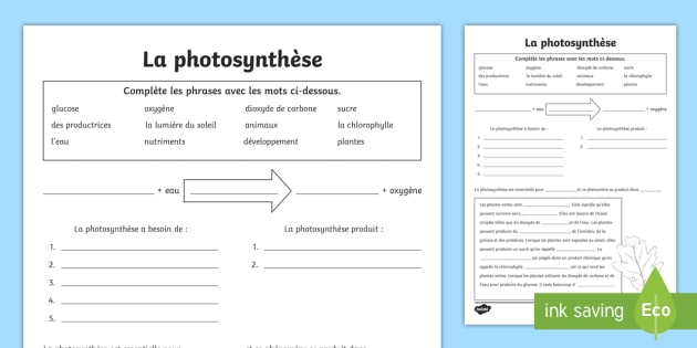 Feuille d'activités : La photosynthèse (teacher made)