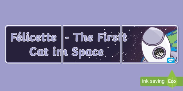Félicette - The First Cat in Space Display Banner
