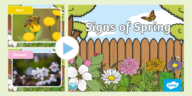 Signs of Spring | twinkl.com.au