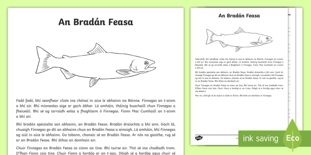 The Salmon of Knowledge Reading Activity Gaeilge