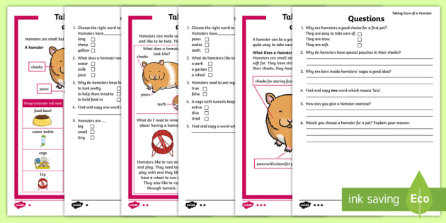 KS1 How to Look After a Hamster Differentiated Reading Comprehension ...