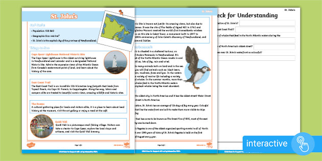 St. John's Interactive Reading Comprehension - Grades 4-6