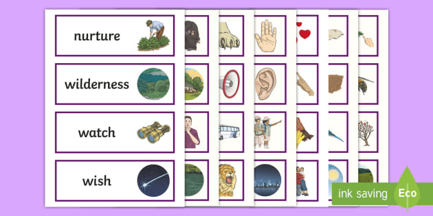 KS2 Word Cards to Support the Teaching of Varmints by Helen Ward