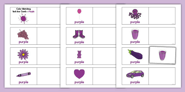 Color Matching Task Box Cards - Purple