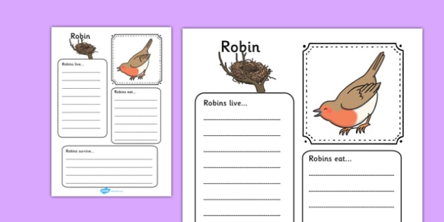 Robin Fact File Worksheet (teacher made)