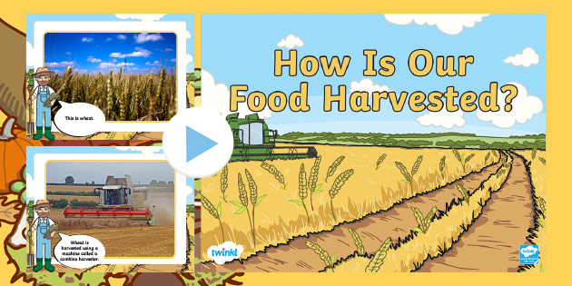 How Is Our Food Harvested? PowerPoint (teacher made)