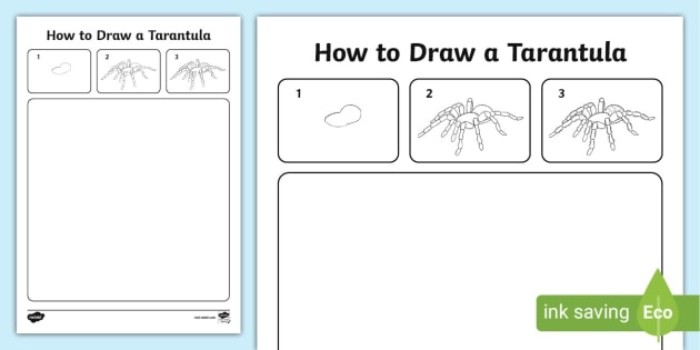 FREE! - How to Draw a Tarantula (teacher made)