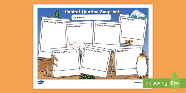 Habitat Hunt Worksheet