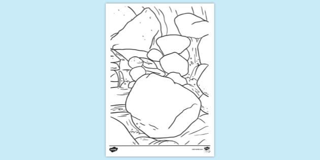 FREE! - Elsach River Plants in Caves Colouring Sheet