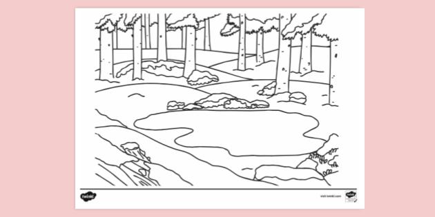 FREE! - Forest Colouring Sheet | Colouring Sheets