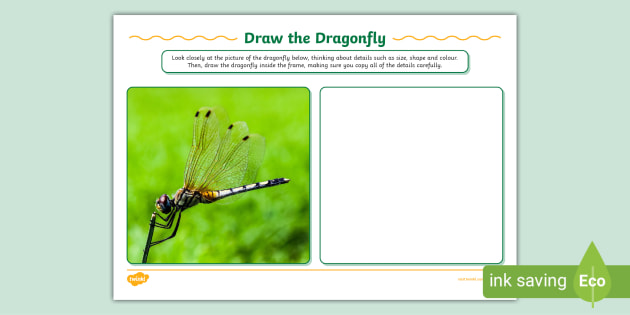 Draw the Dragonfly Art Activity,Dragonfly (teacher made)
