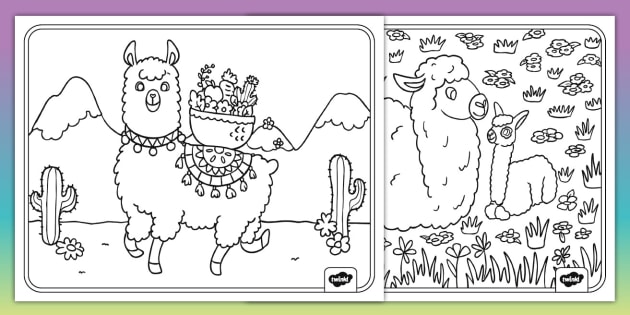 free coloring pages for 2nd graders
