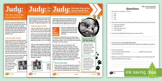 UKS2 Judy: The Hero Dog of the Second World War Differentiated Reading