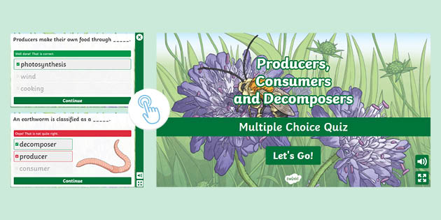 Producers, Consumers and Decomposers Quiz (teacher made)