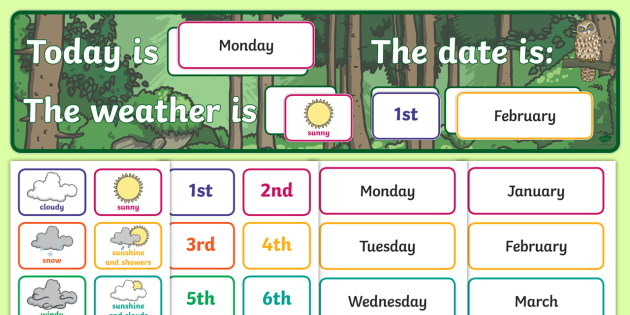 Owl Themed Display Calendar (teacher made)