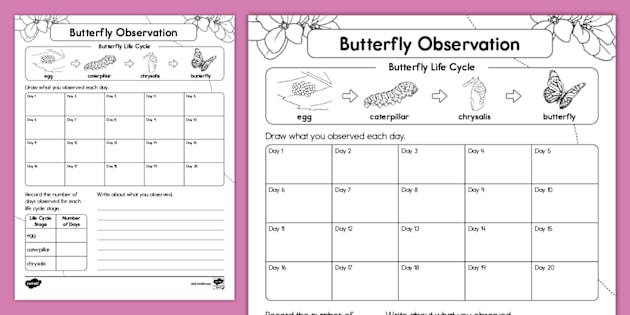 Kindergarten Observation Activities | twinkl.com