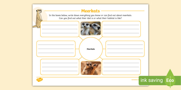 * NEW * Meerkats Mind Map (teacher made)