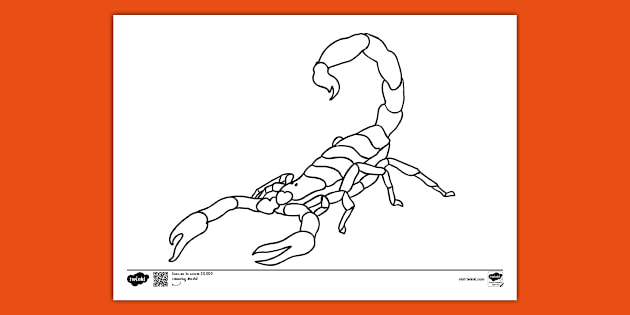 scorpion coloring picture