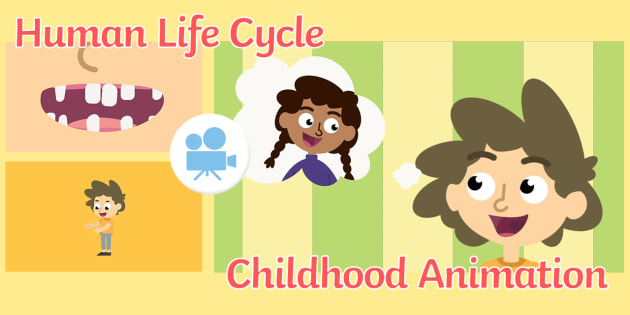 Human Life Cycle Animations | twinkl.com.au