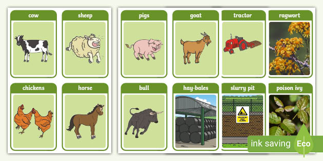 * NEW * Farm Safety Flash Cards
