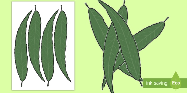 FREE! - 👉 Leaf Display Cut Outs (teacher made)
