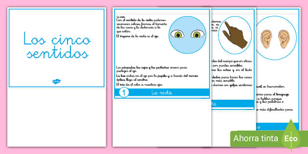 Flipbook: Los cinco sentidos
