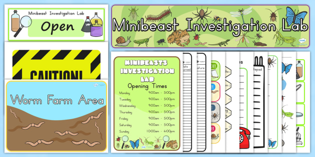 Minibeasts Investigation Lab Roleplay Pack (teacher made)