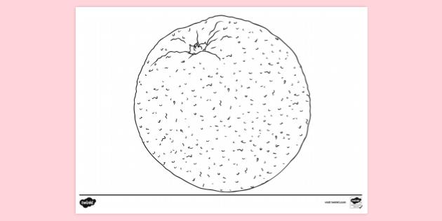 FREE! - Orange Colouring Page | Colouring Sheets
