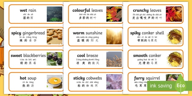 Autumn Senses Word Cards English/Mandarin Chinese/Pinyin - Autumn ...