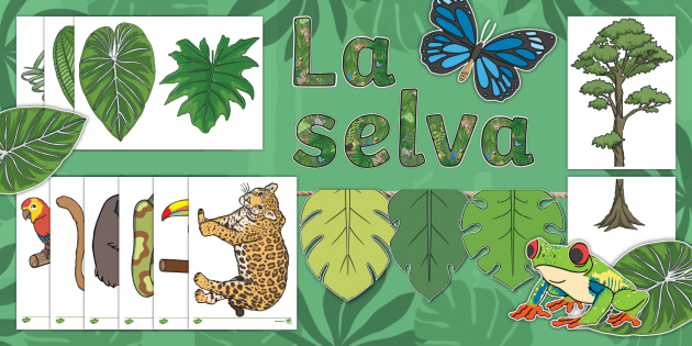Dibujo De La Selva Tropical Para Niños