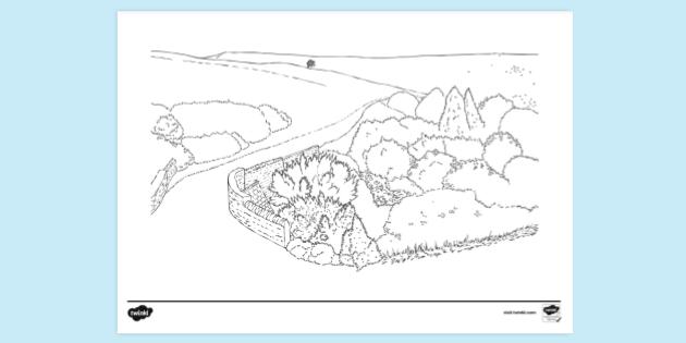 FREE! - Countryside Colouring Sheet | Colouring Pages | Twinkl