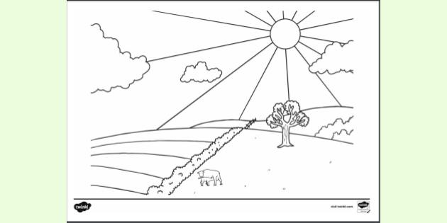 FREE! - Free Printable Spring Colouring Page | Colouring Sheets