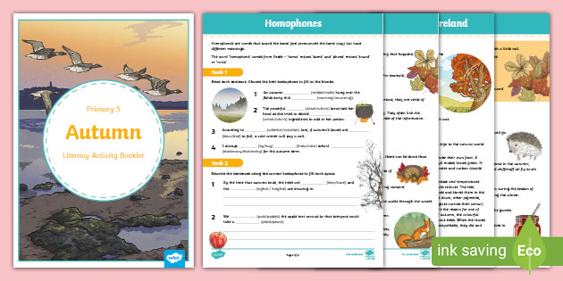 Primary 5 Autumn Literacy Activity Booklet (teacher made)