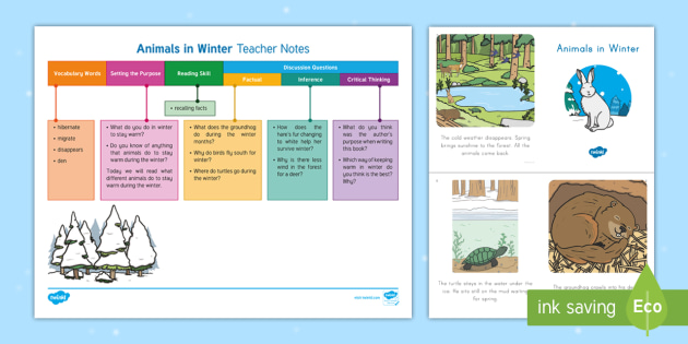 Animals in Winter Guided Reading Teaching Pack