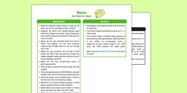 Beans Fact Sheet for Adults (teacher made)