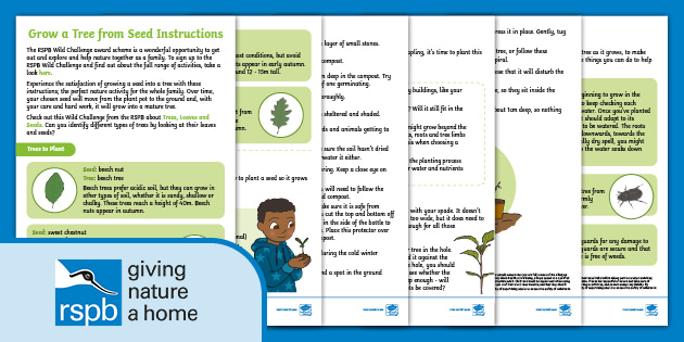 FREE! - Grow a Tree from Seed Instructions (Ages 5 - 11)