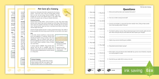 KS2 Pet Care of a Canary Differentiated Reading Comprehension Activity