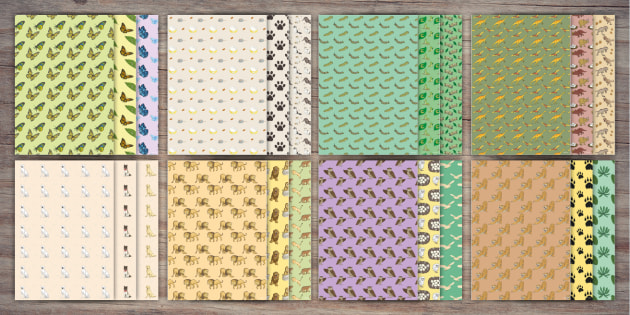 Animal Patterns A4 Sheets Pack | Twinkl Party (teacher made)