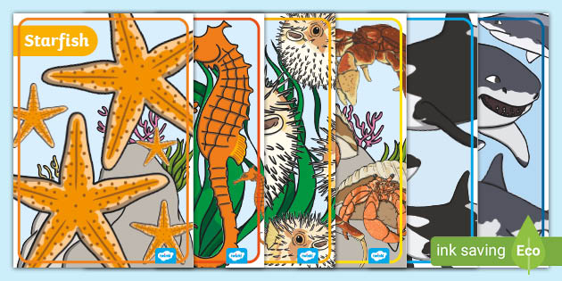 Ocean Life Poster (teacher made)