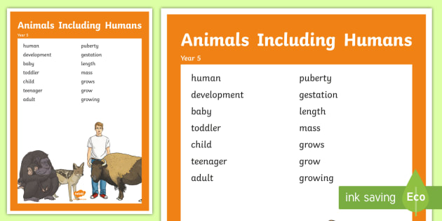 Year 5 Animals Including Humans Scientific Vocabulary Poster