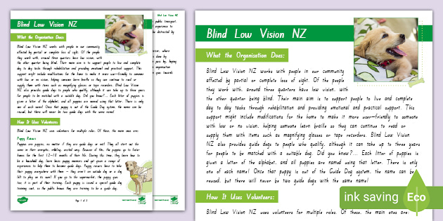 Blind Low Vision NZ Fact File (teacher made)