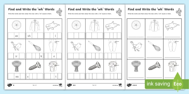 Find and Write the wh Words Differentiated Worksheet / Worksheets