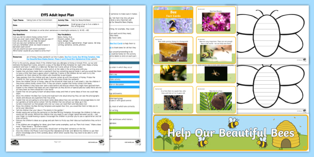 EYFS Help Our Beautiful Bees Adult Input Plan and Resource Pack