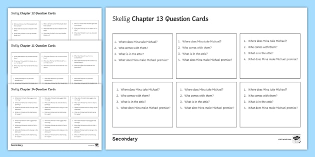 Skellig Chapters 11 - 20 Question Cards (teacher made)