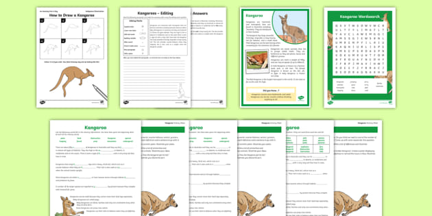 Kangaroo Resource Pack (teacher made)