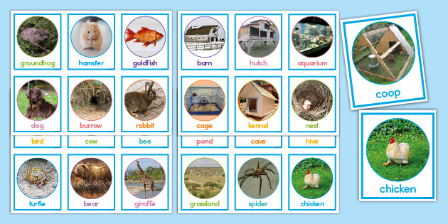 Animals and Where They Live Photo Matching Cards