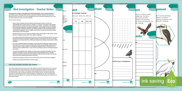 Bird Investigation Incorporating Noongar Language