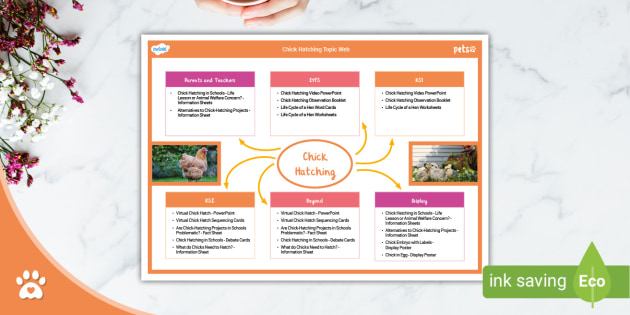 Chick Hatching Topic Web - Eggs - Life Cycle of a Chicken