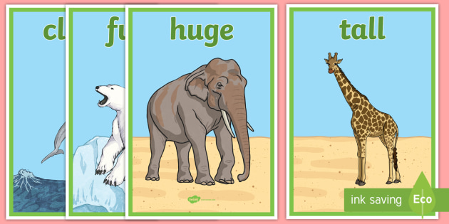 Zoo Animals Adjectives Display Posters - ESL Zoo Animals Adjectives